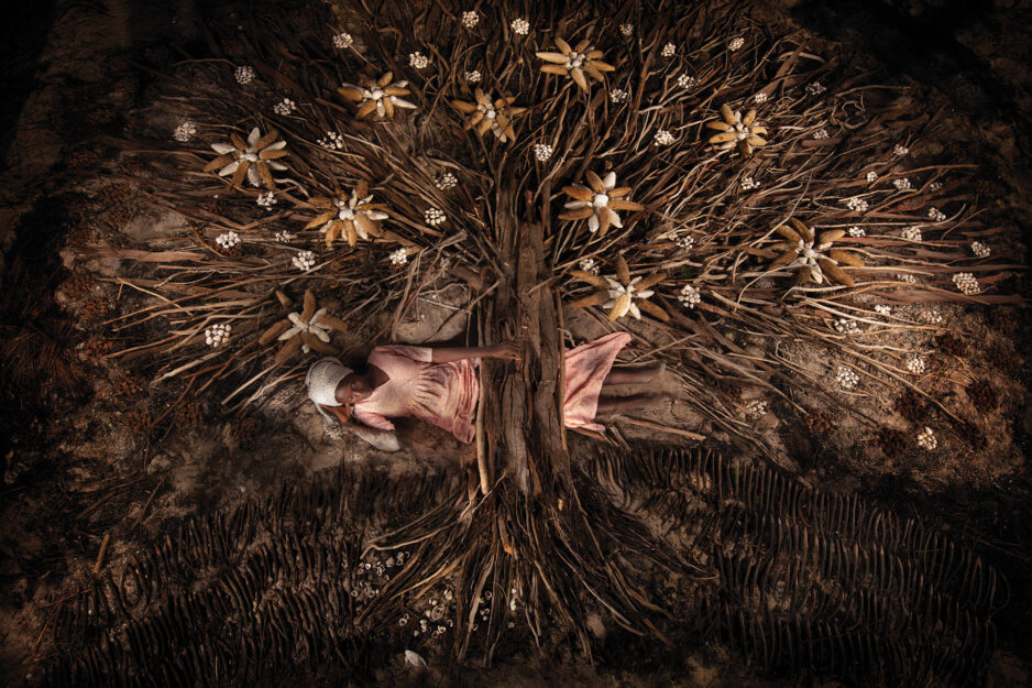 HENRY Nicolas - PHOT'Aubrac - Festival de photographie